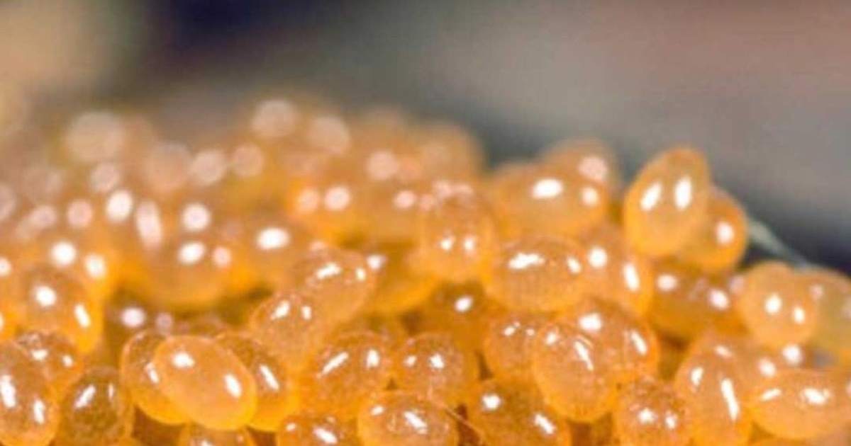 If you see a small pile of jelly balls like this in your garden or home ...