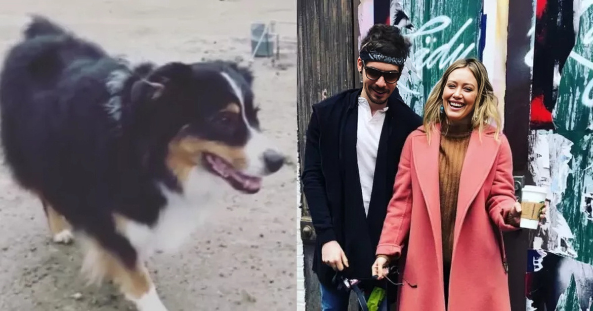 Μπράβο στην ηθοποιό: Η Hilary Duff και ο φίλος της υιοθέτησαν ένα ...