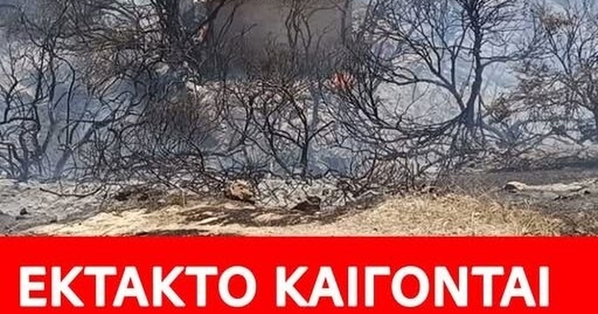 ΕΚΤΑΚΤΟ ΤΩΡΑ – ΑΠΕΓΚΛΩΒΙΣΜΟΙ ΠΑΙΔΙΩΝ ΚΑΙ ΚΑΤΟΙΚΩΝ - Athina360