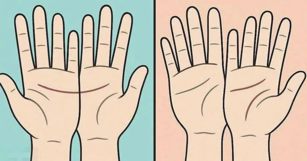 Ανακαλύψτε τη σημασία των γραμμών στις παλάμες των χεριών σας - Athina360